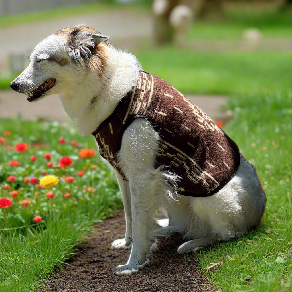 Handcrafted Clint Eastwood-Inspired Dog Poncho | Ecualama – ECUALAMA INC